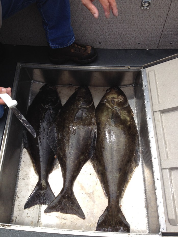 Halibut Fishing off the Oregon Coast